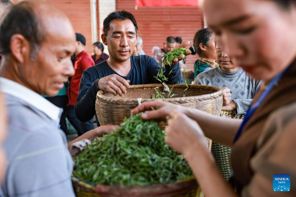 Farmers busy with farm work around Qingming across China-Xinhua