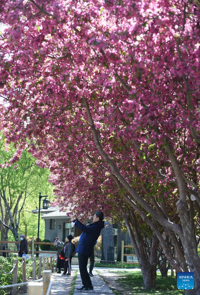 Tourists have fun at Taoranting park in Beijing-Xinhua