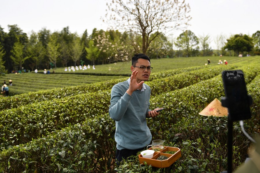 Economy&Life | Tea tourism gives new impetus to local economy in China ...