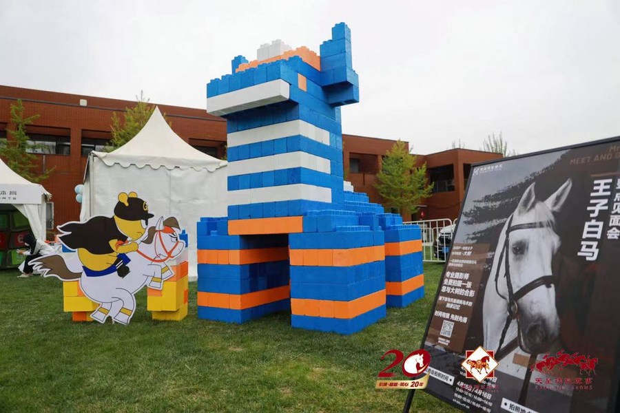 Chinese claim two titles at Jumping Equuleus CSI1 event-Xinhua