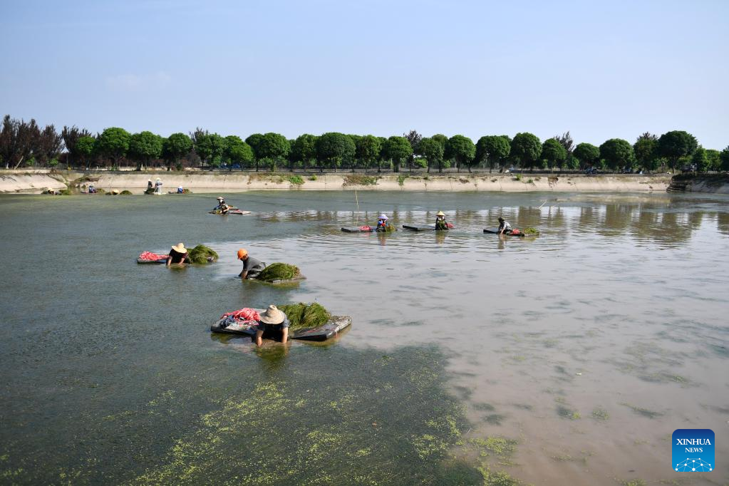 Datong Lake witnesses significant improvement in water quality and ...