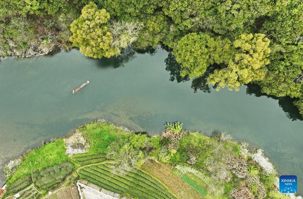 Villager rows bamboo raft in Wuyuan County, E China-Xinhua