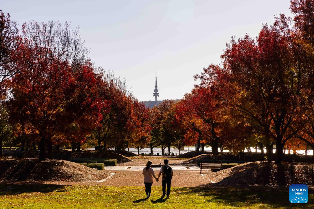 Autumn scenery of Canberra, Australia-Xinhua