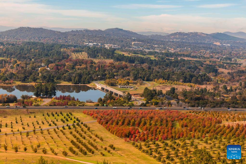 Autumn scenery of Canberra, Australia-Xinhua