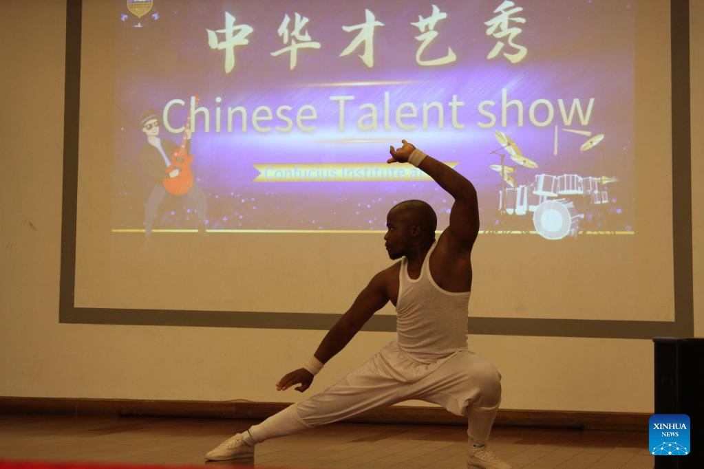 Feature: Young Zimbabwean showcase skills at Chinese talent show-Xinhua
