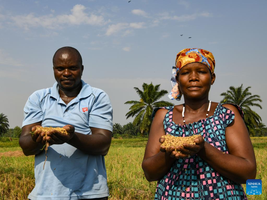 Economic Watch: Chinese technology helps Africa pursue quality ...