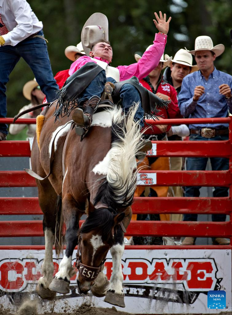 In pics: 75th Cloverdale Rodeo and Country Fair event-TIANSHANNET-天山网