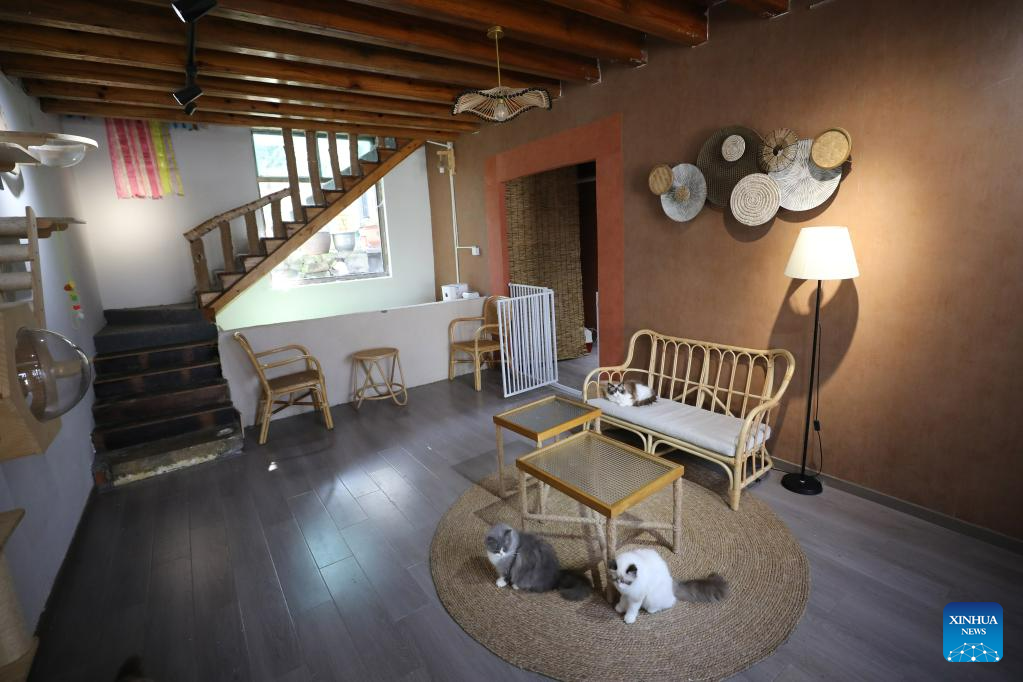 Lizu Village committed to cultivating entrepreneurs in Yiwu, E China-Xinhua