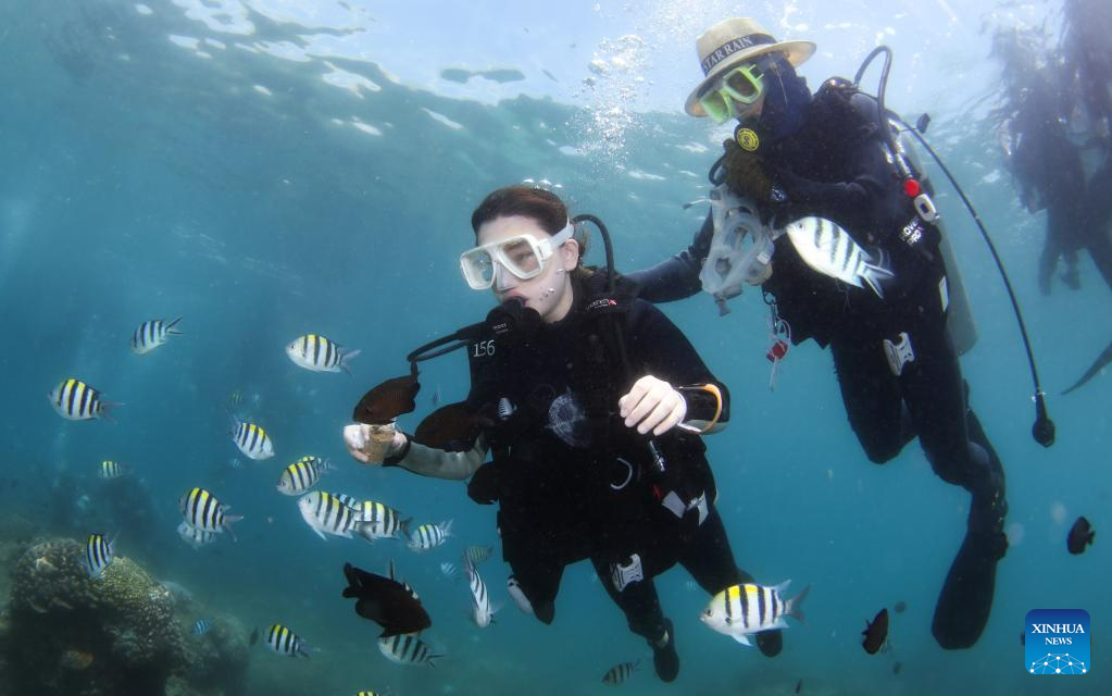 In pics: diving activity in waters of Fenjiezhou Island, S China-Xinhua