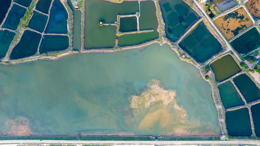 InPics: Visit the "Nanji" Village in Zhanjiang-Xinhua