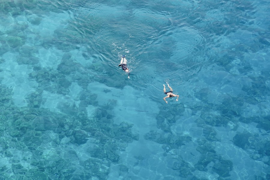 Maltese marine biologist urges int'l cooperation on ocean protection-Xinhua