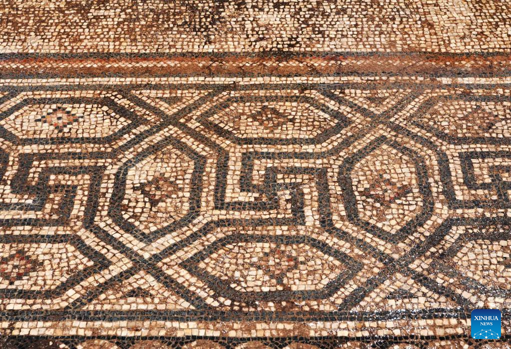 Roman-era mosaic panel uncovered in Syria-Xinhua