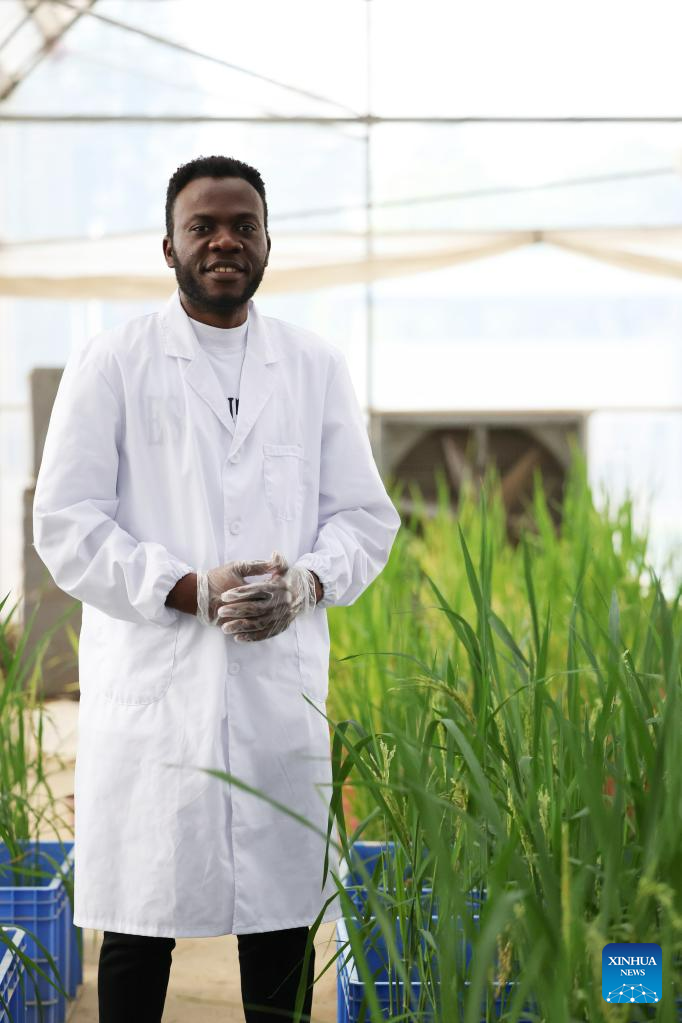 Nigerian student comes to China to acquire modern agricultural ...