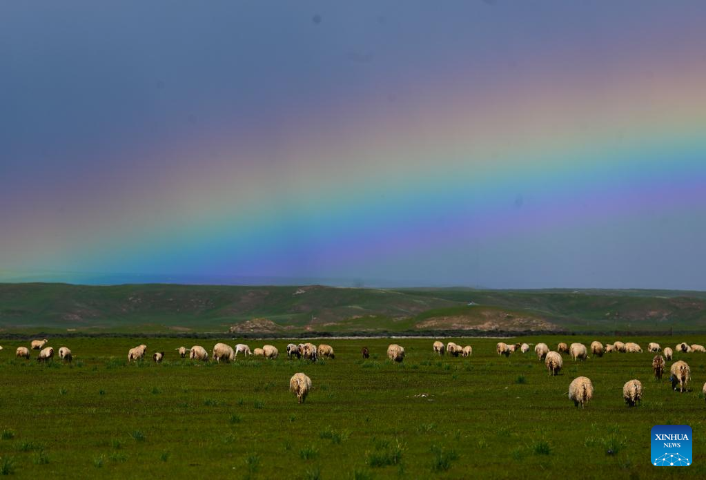 Scenery of grassland in Tianjun County, NW China's Qinghai -Xinhua