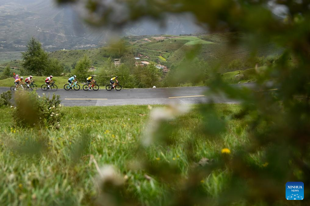 Riders compete during 22nd Tour of Qinghai Lake cycling race-Xinhua