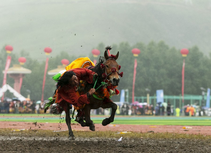 Horse racing festival kicked off in NW China's Qinghai-Xinhua