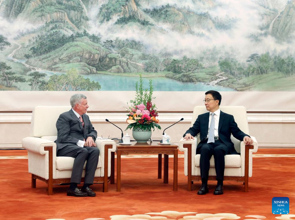 Chinese vice president meets Visa executive chairman