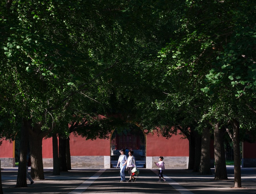 InPics: Summer views along the Beijing Central Axis-Xinhua