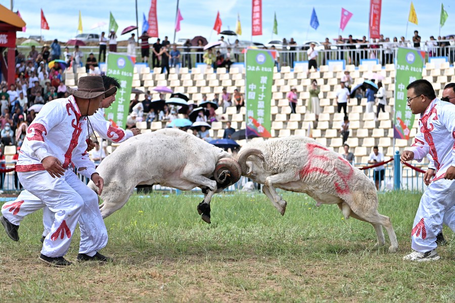 Xinhua Photo Daily | Aug. 5, 2023-Xinhua