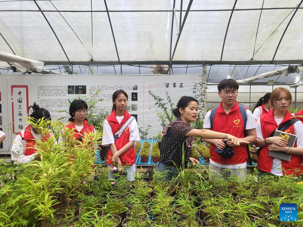 Across China: Villages become entrepreneurship hubs for youngsters in ...
