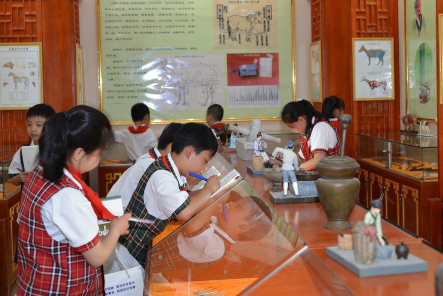 China releases national standard for traditional Chinese veterinary ...