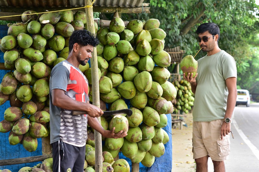 Asia Album: India's Assam celebrates World Coconut Day-Xinhua