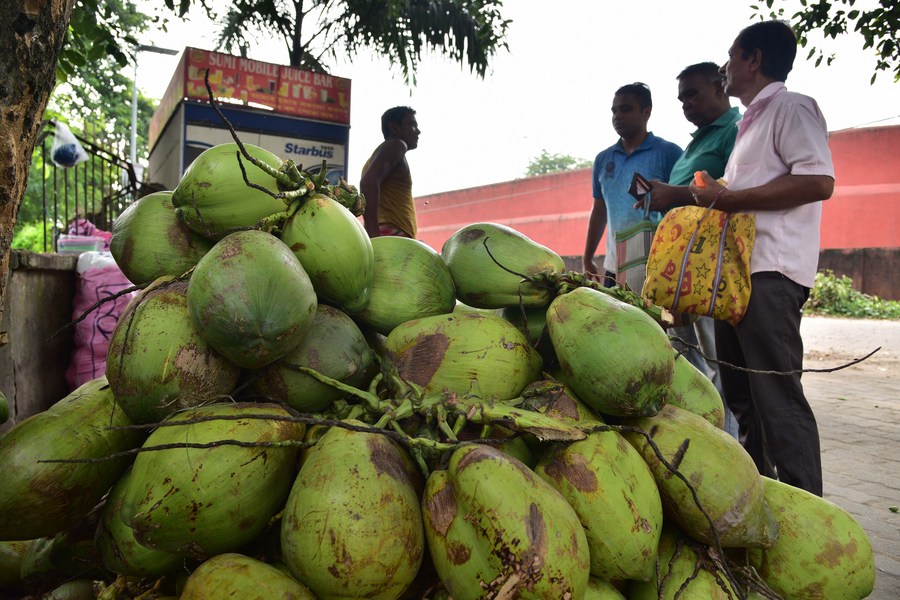Asia Album: India's Assam celebrates World Coconut Day-Xinhua