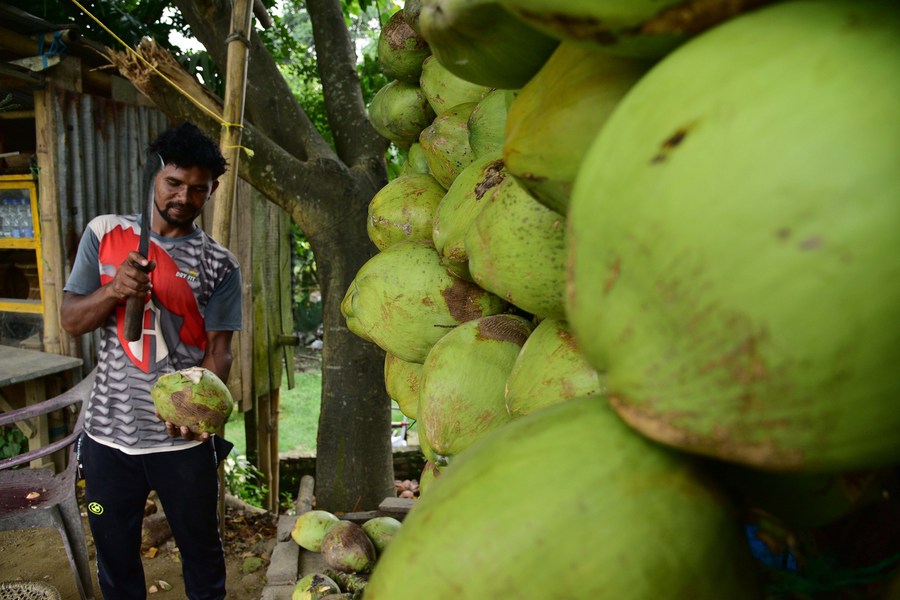 Asia Album: India's Assam celebrates World Coconut Day-Xinhua