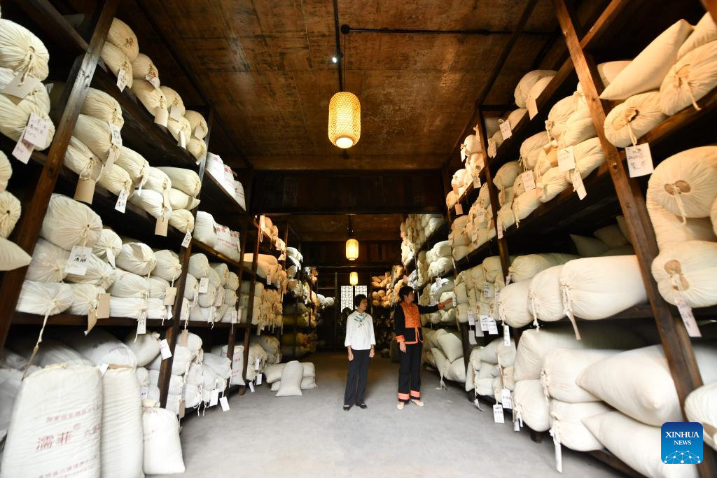 Wuzhou City famous for Liubao tea making in S China's Guangxi-Xinhua