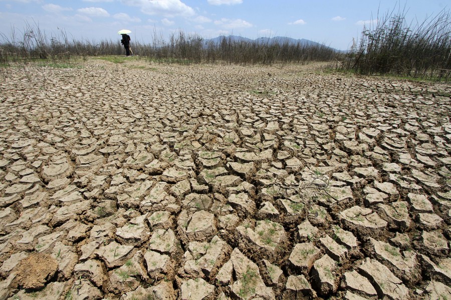 Asia Album: Drought hits Indonesia's central, west Java provinces-Xinhua