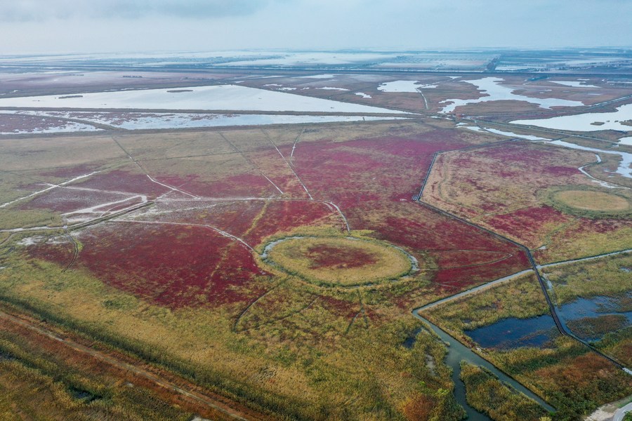Yancheng's green transformation acclaimed at World Coastal Forum-Xinhua