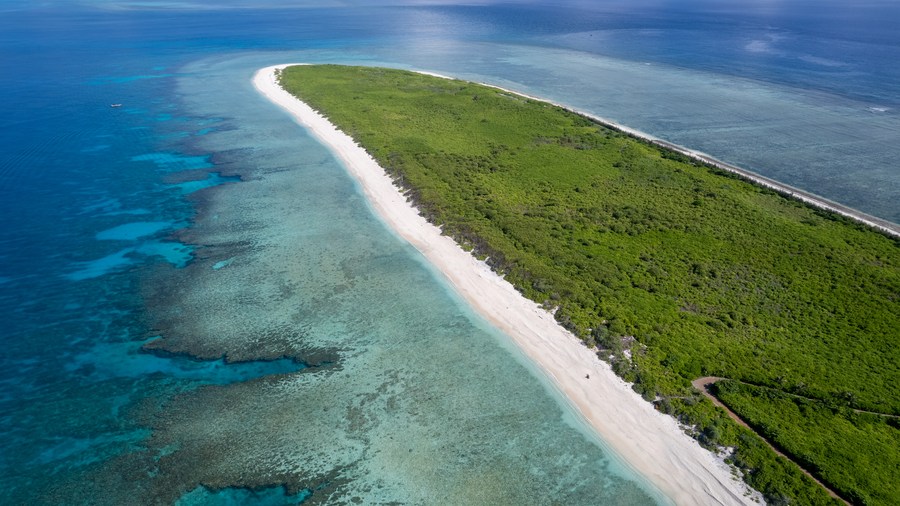 EcoChina | Family committed to sea turtle protection in China's Hainan ...
