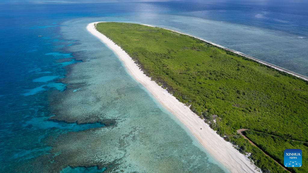Pic story: fishermen devoted to turtle protection in Hainan-Xinhua