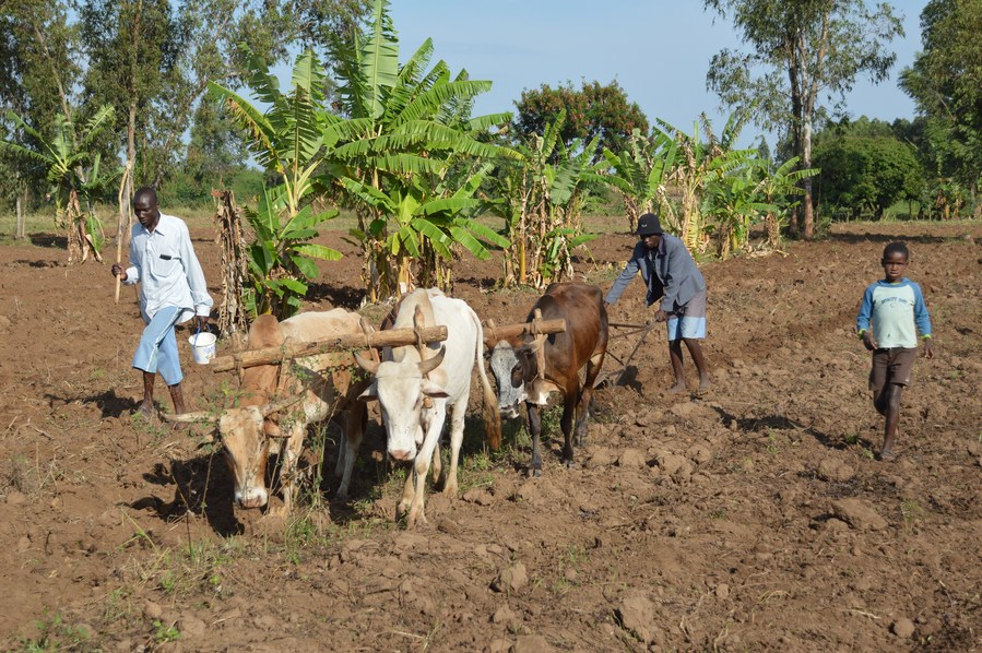 East African bloc warns of El Nino rains in Horn of Africa-Xinhua