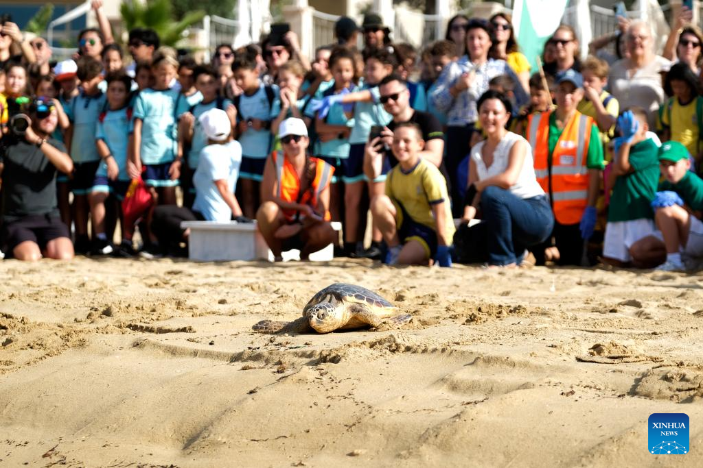 Turtles released into sea after rehabilitation by students in Malta-Xinhua