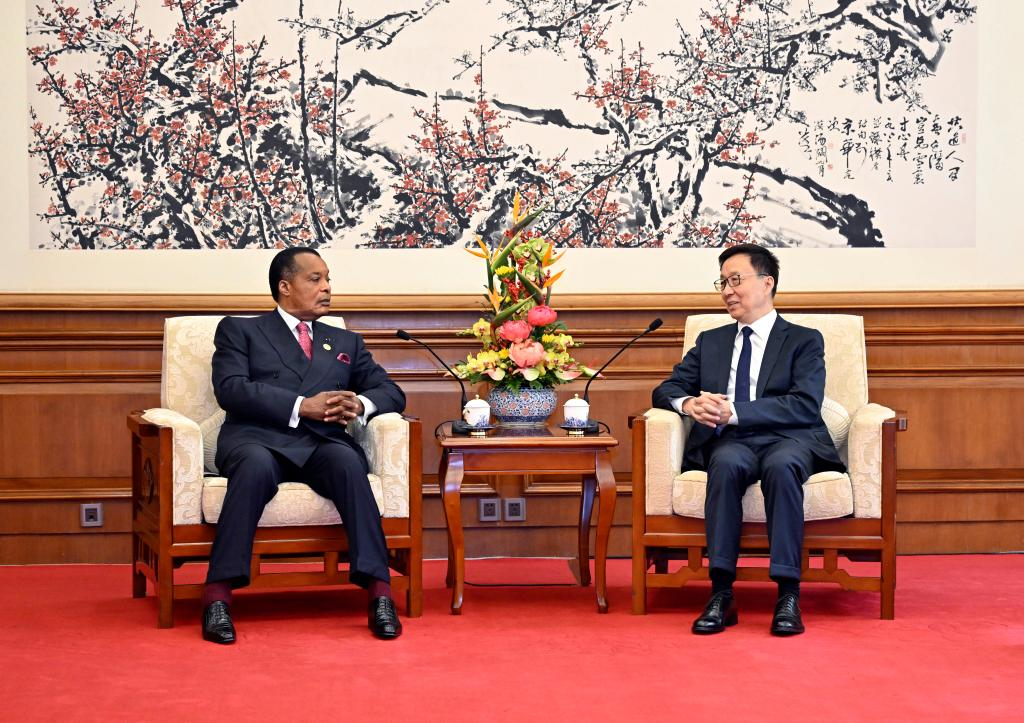 Chinese vice president meets Republic of the Congo president-Xinhua