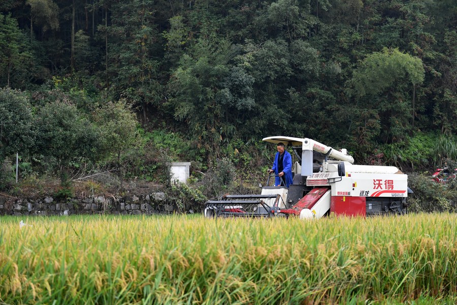 A new agricultural model in central China's Hunan-Xinhua