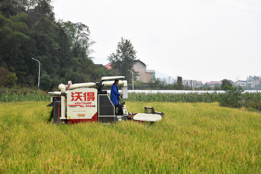 A new agricultural model in central China's Hunan-Xinhua