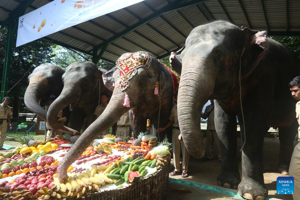 Well-known Asian elephant celebrates 70th birthday in Myanmar-Xinhua