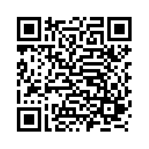 Chinese start-up's "air taxi" makes 1st trial flight-Xinhua