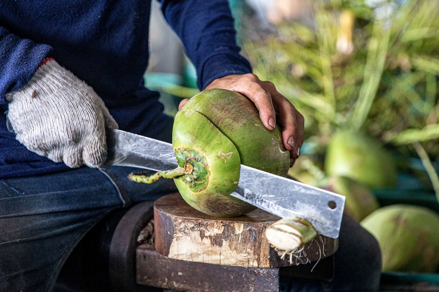 Thai coconut exporter has high hopes for CIIE-Xinhua