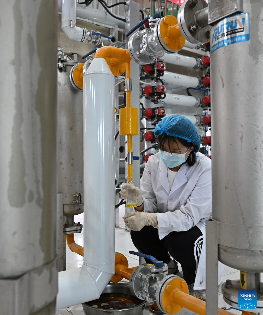 Alataw Pass in Xinjiang handles over 30,000 trains to Central Asia or ...