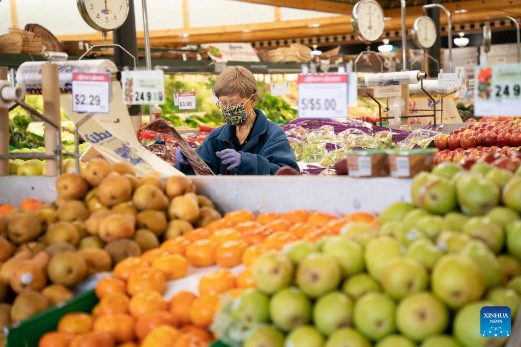 U.S. dollar plunges to 2-month low after October inflation report-Xinhua