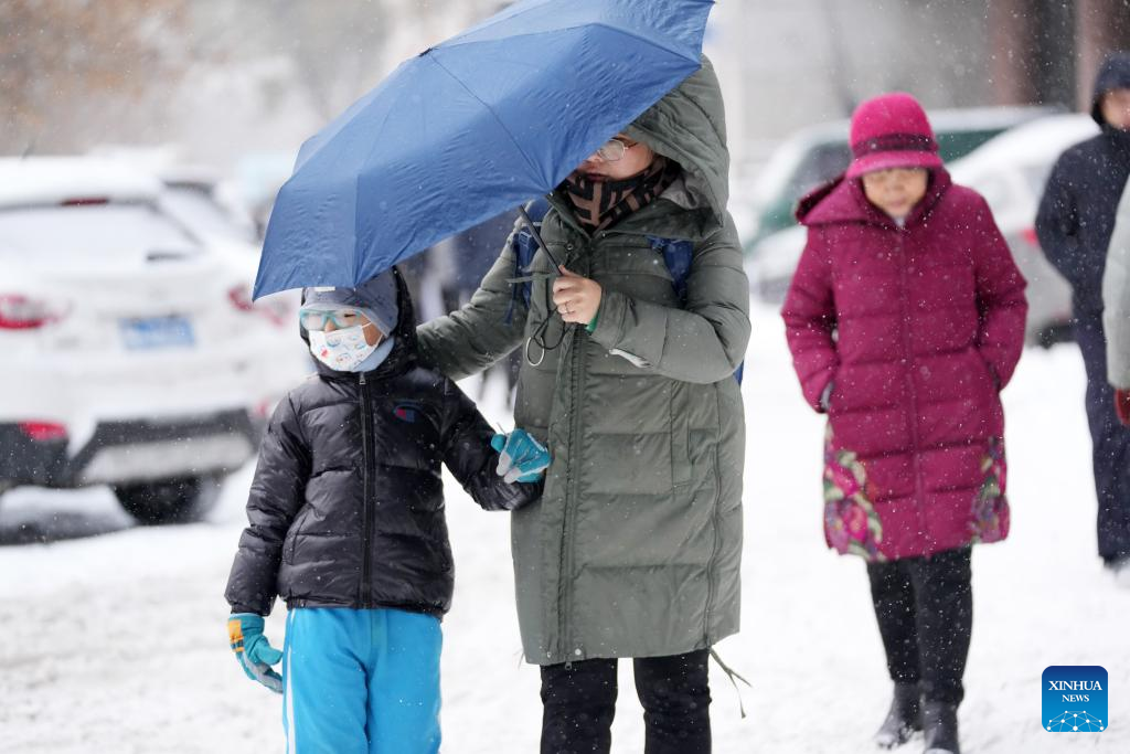 China renews alerts for cold waves, strong winds in various regions-Xinhua