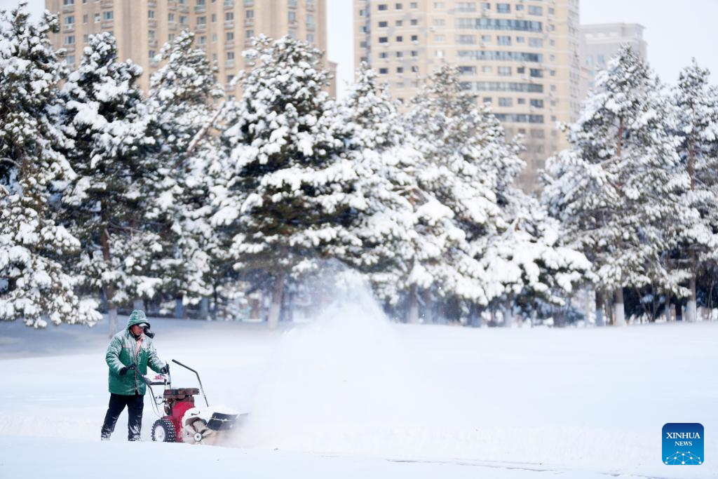 China renews alerts for cold waves, strong winds in various regions-Xinhua