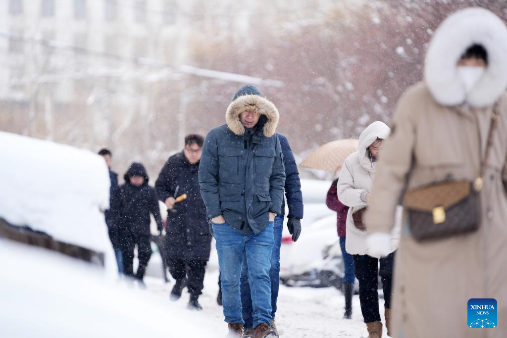 China renews alerts for cold waves, strong winds in various regions-Xinhua