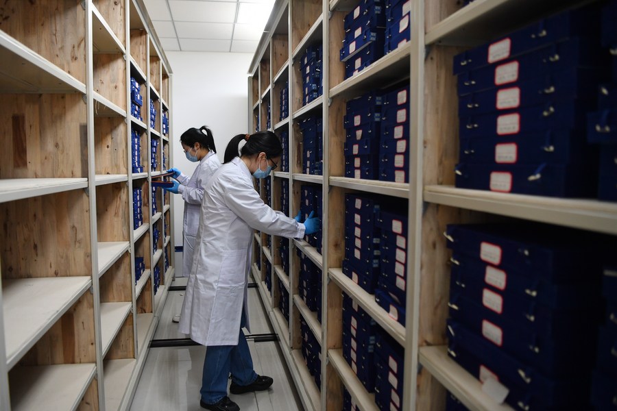 Culture&Life | A glimpse of museum in NW China's Gansu featuring ...