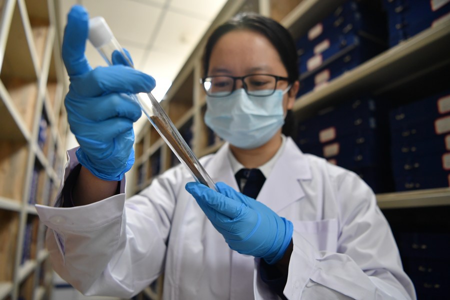 Culture&Life | A glimpse of museum in NW China's Gansu featuring ...