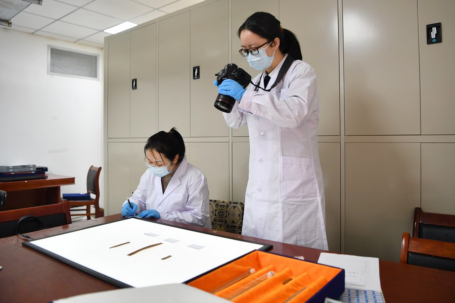 Culture&Life | A glimpse of museum in NW China's Gansu featuring ...