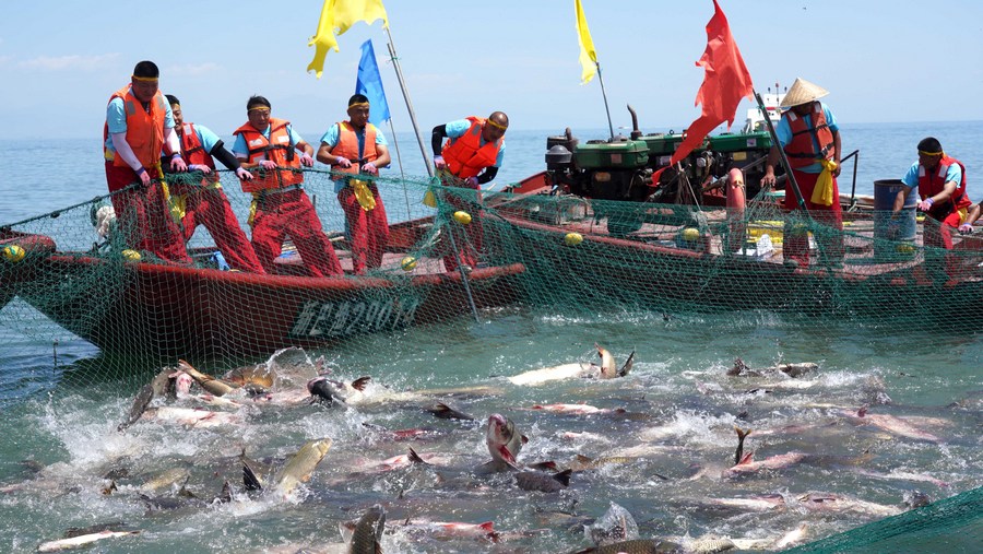 Xinjiang aquatic products ascend to world's dinner table-Xinhua